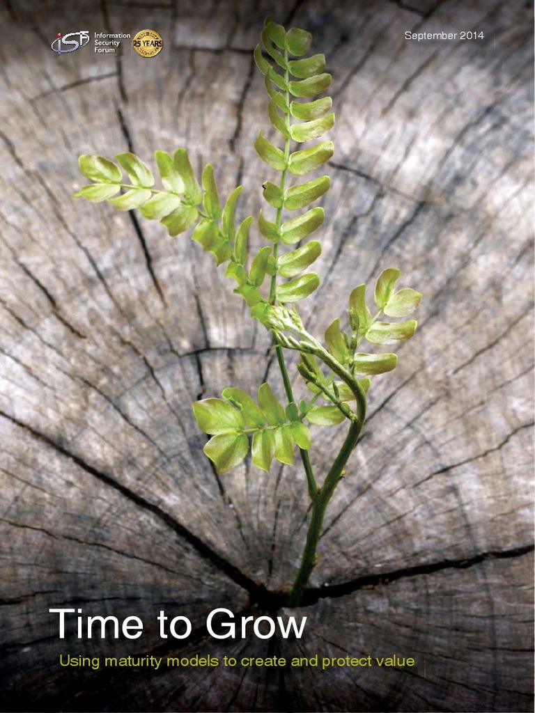 ISF - Time To Grow - Using Maturity Models To Create and Protect Value ...