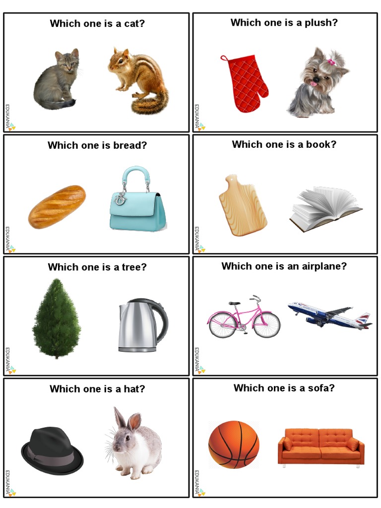 ABLLS-R Picture Matching Questions | PDF