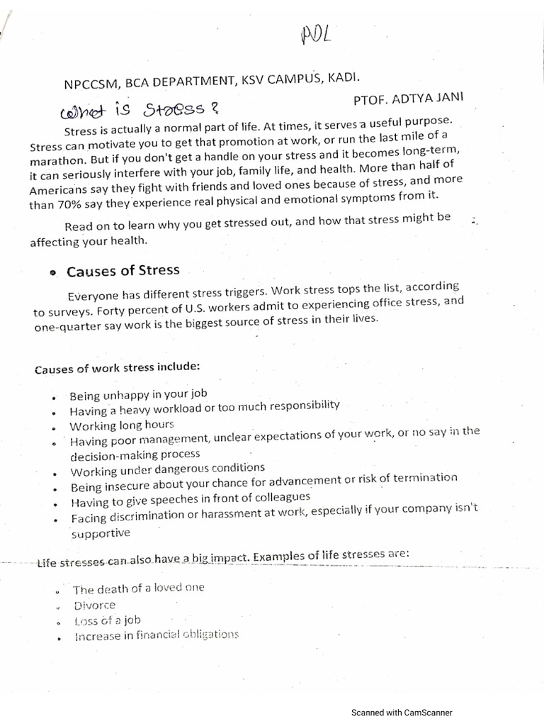 PDL Time, Stress & Conflict Management | PDF