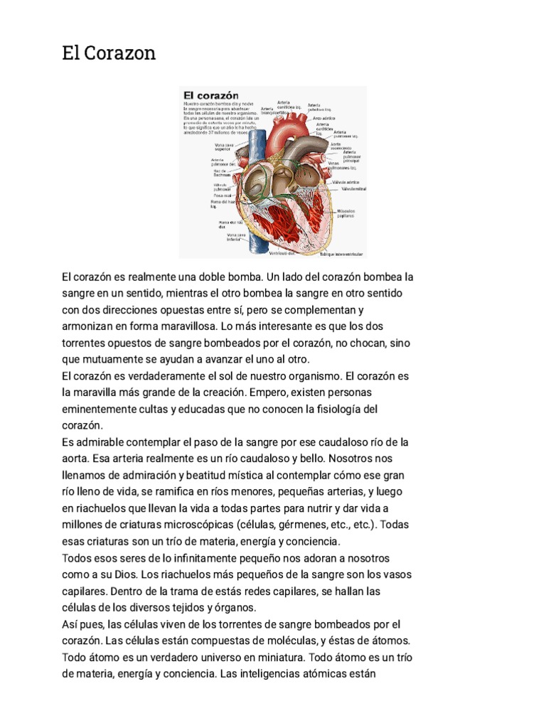 Gnosis - Boletin Gnostico en Linea - El Corazon | PDF | Corazón | Vena