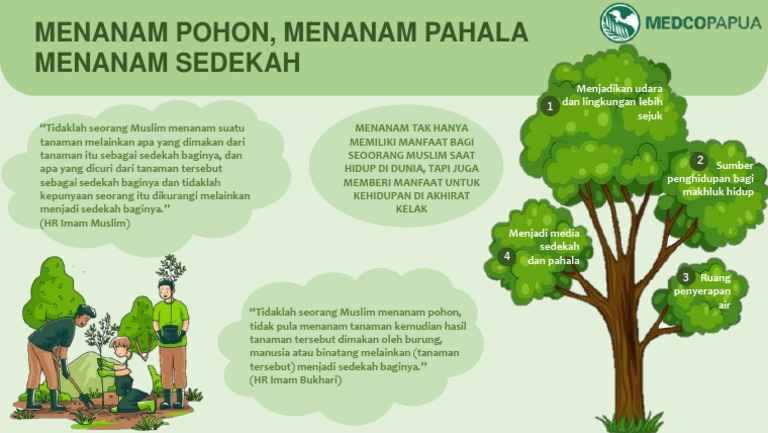 Infografis Tanaman | PDF