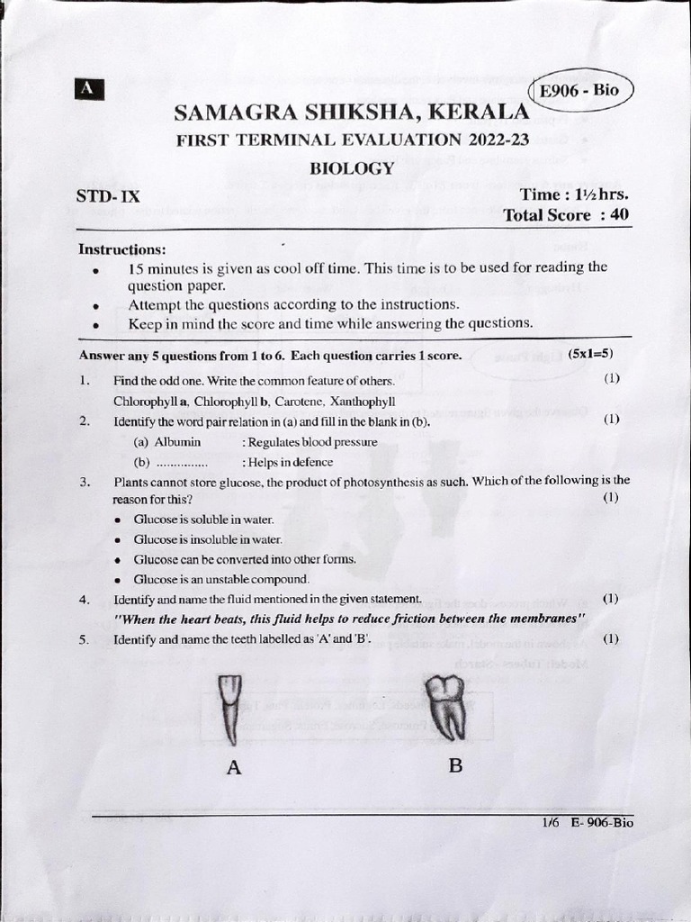 Kerala Class 9 First Term Onam Exam Biology Question Paper 2022 (Eng Med) | PDF