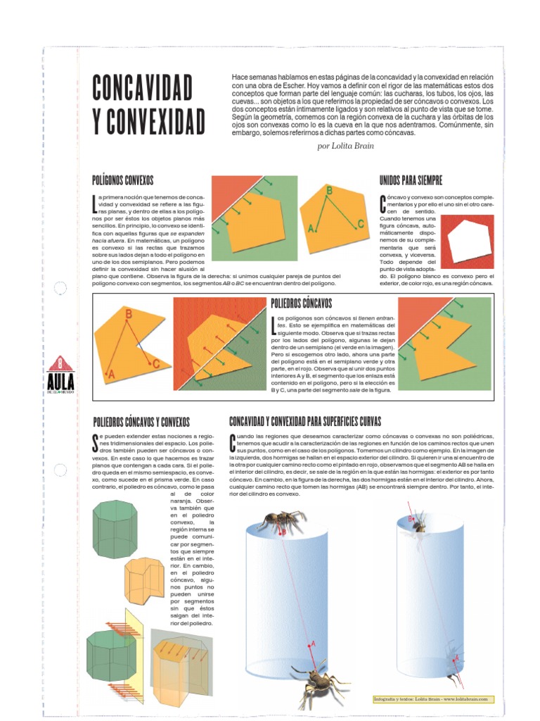 Concavidad y Convexidad | Descargar gratis PDF | Conjunto convexo | Polígono