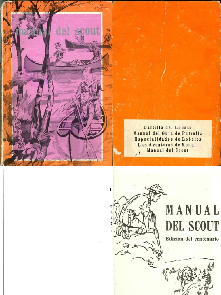 Manual Scout | PDF