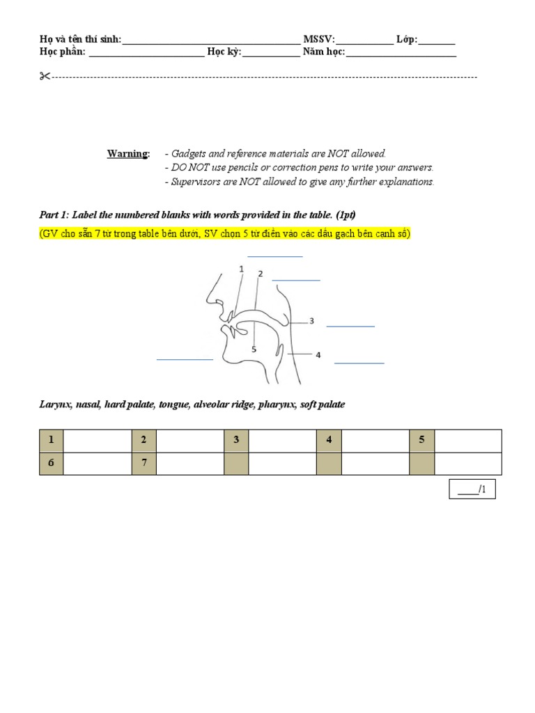 Final English Phonetics And Phonology Pdf