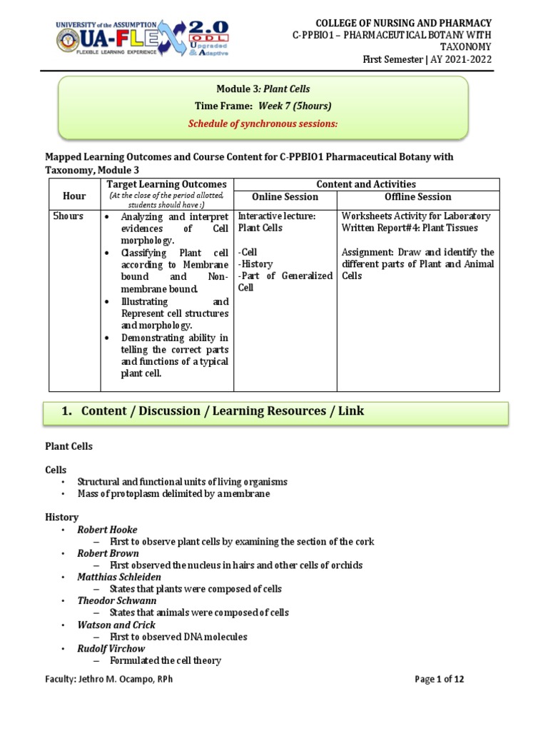 Module 3 Plant Cells | PDF