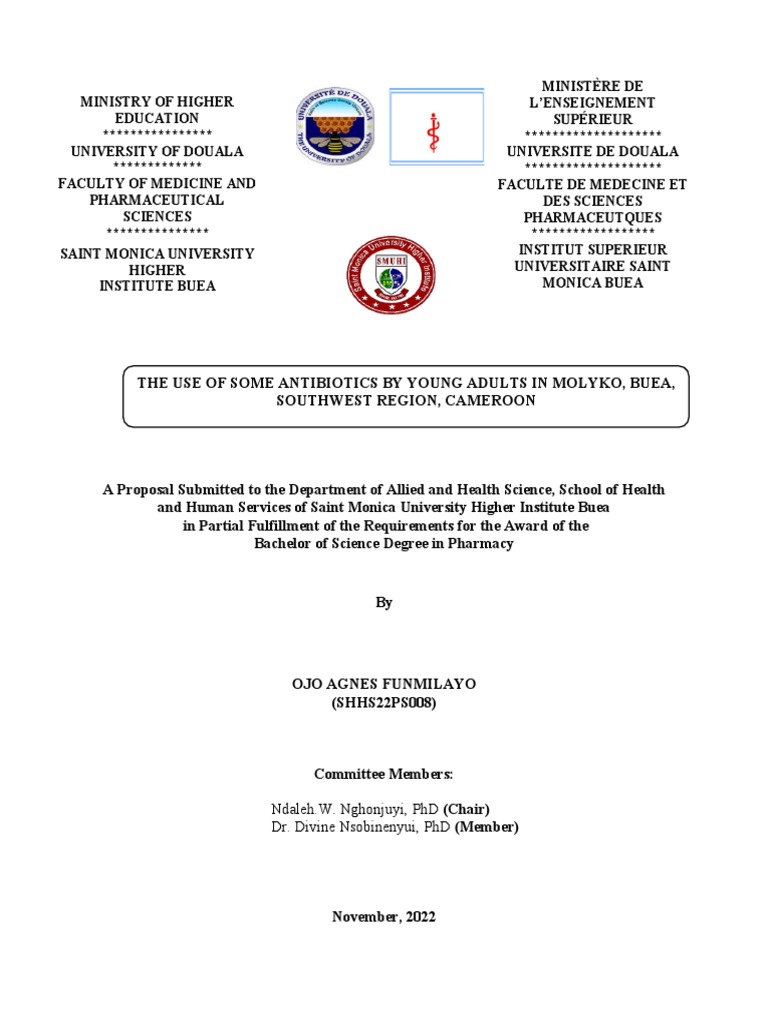 Mme Agnes Final Project 2 | PDF