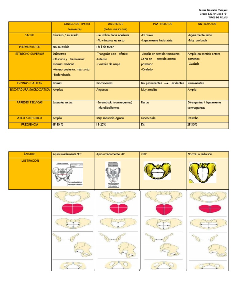 Clasificación de Tipos de Pelvis | PDF | Pelvis | Sistema ...