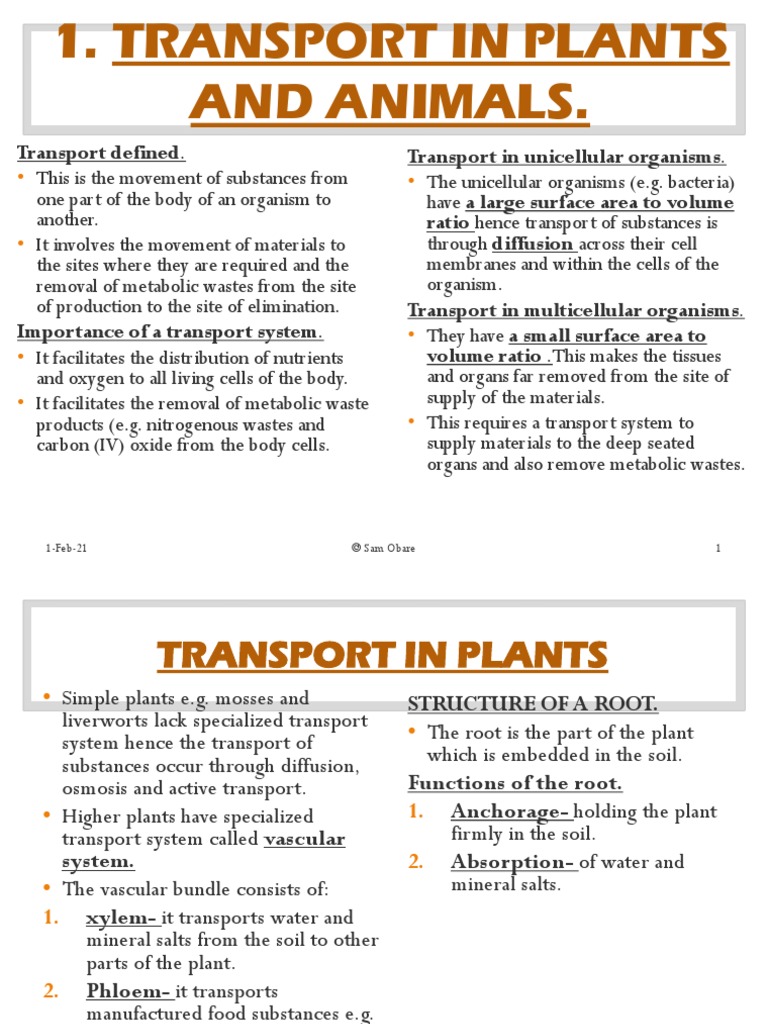 Transport Systems in Plants and Animals | PDF | Atrium (Heart ...