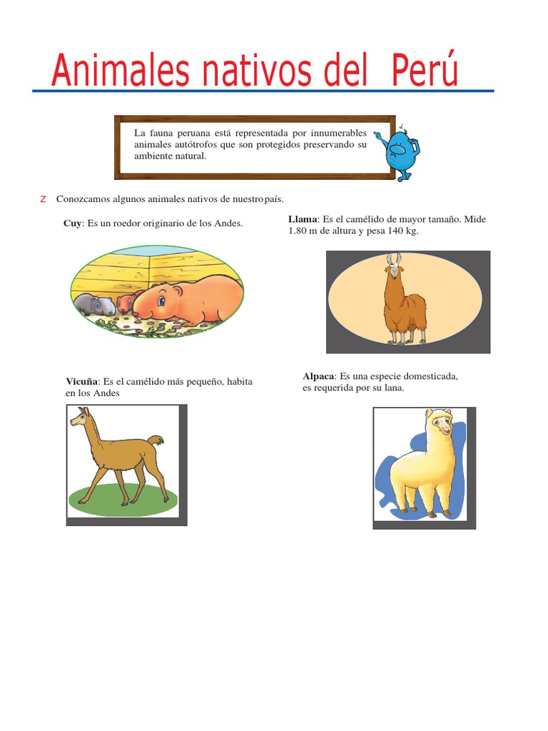 FICHA-Animales Nativos Del Perú | PDF