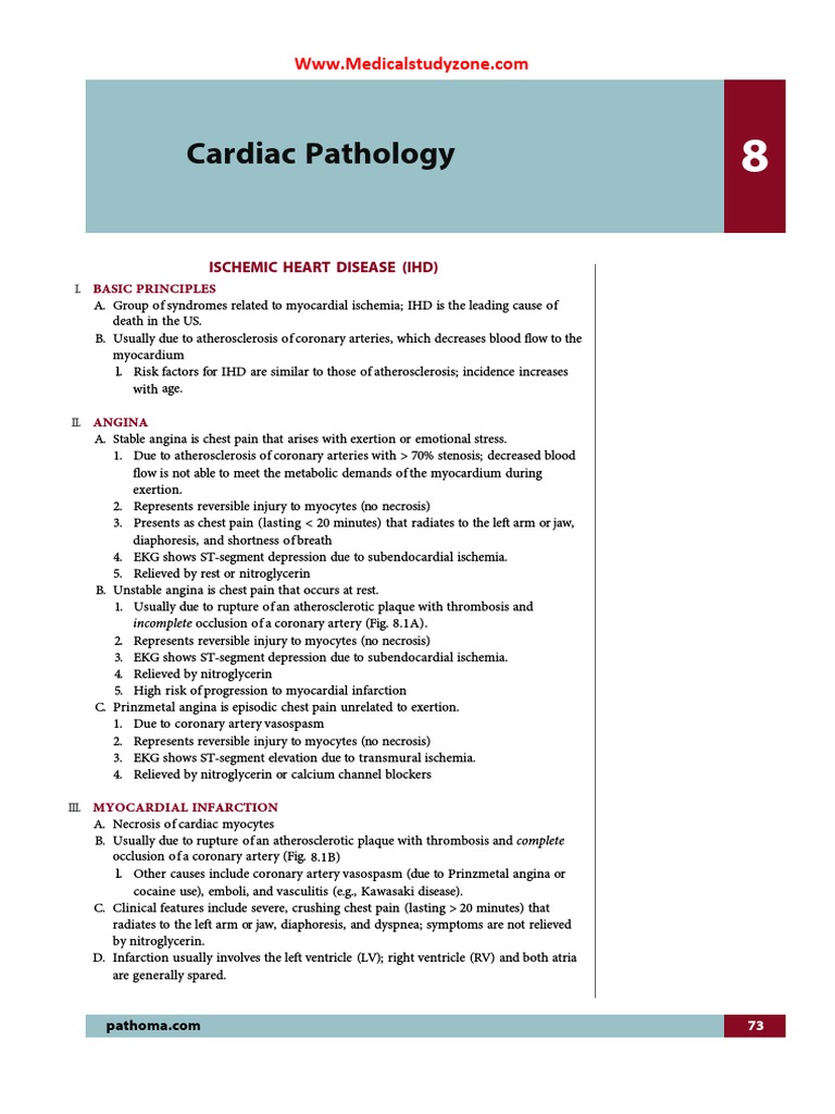 Cardiac Pathoma | PDF