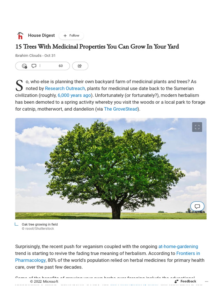 15 Trees With Medicinal Properties You Can Grow in Your Yard | PDF