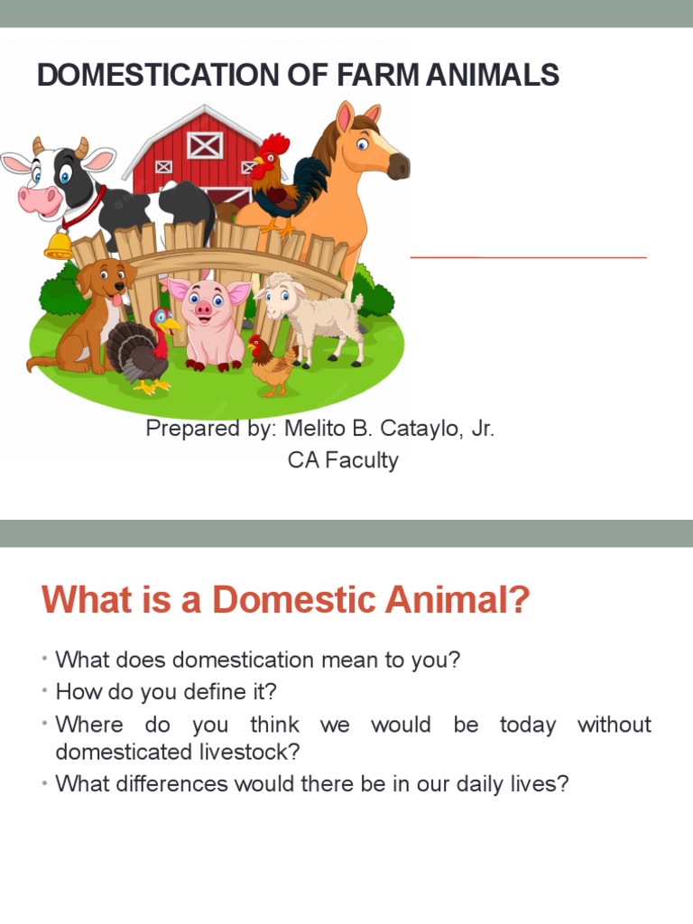 Domestication of Farm Animals (3) | PDF | Domestication | Livestock