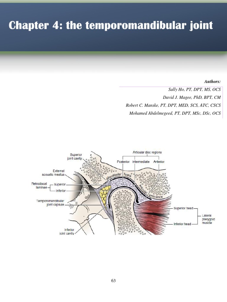 The TMJ - Admission Exam | PDF | Human Anatomy | Musculoskeletal System