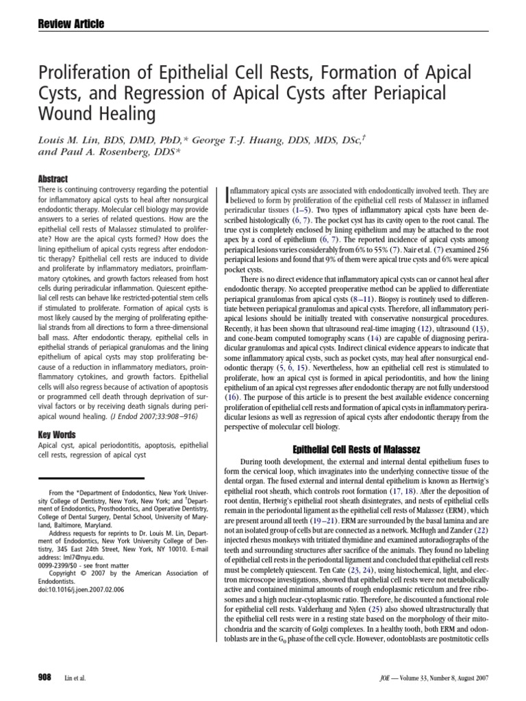 Proliferation of Epithelial Cell Rests, Formation of ApicalCysts, and ...