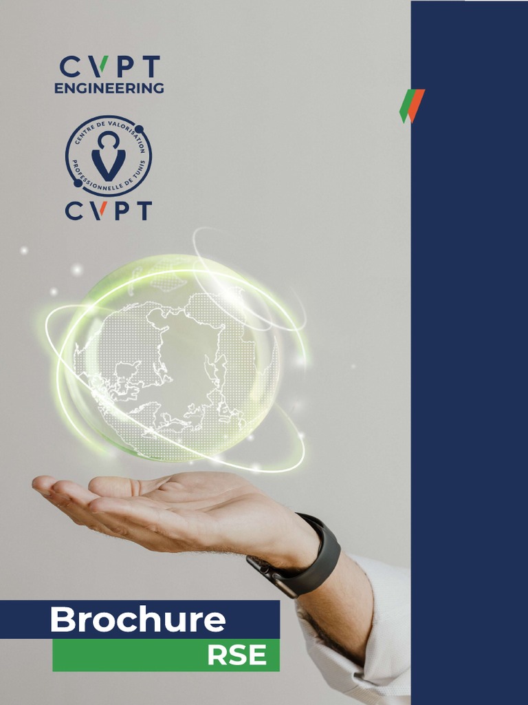Formation Consultant RSE: Devenir Expert | PDF | Affaires