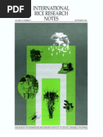 NSIC Seed Variety Catalogue 2023 | PDF | Rice | Organisms