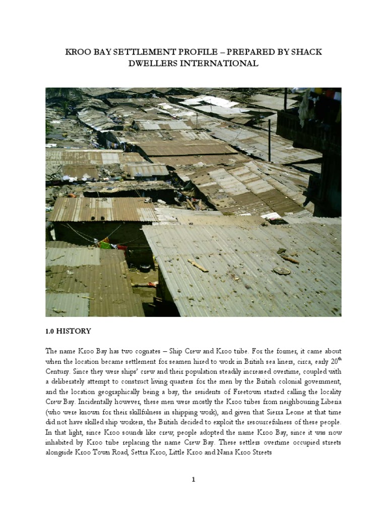 Kroo Bay Community Profile Overview | PDF