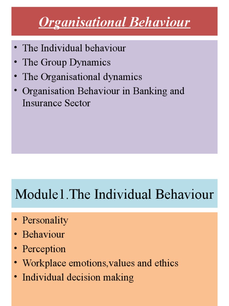 1.the Individual Behaviour | PDF