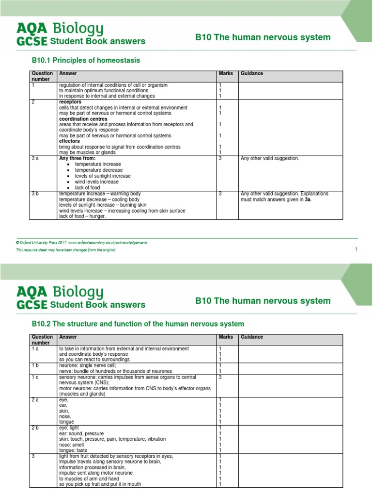 AQA GCSE Bio Combined End of Topic B10 | Download Free PDF | Nervous ...