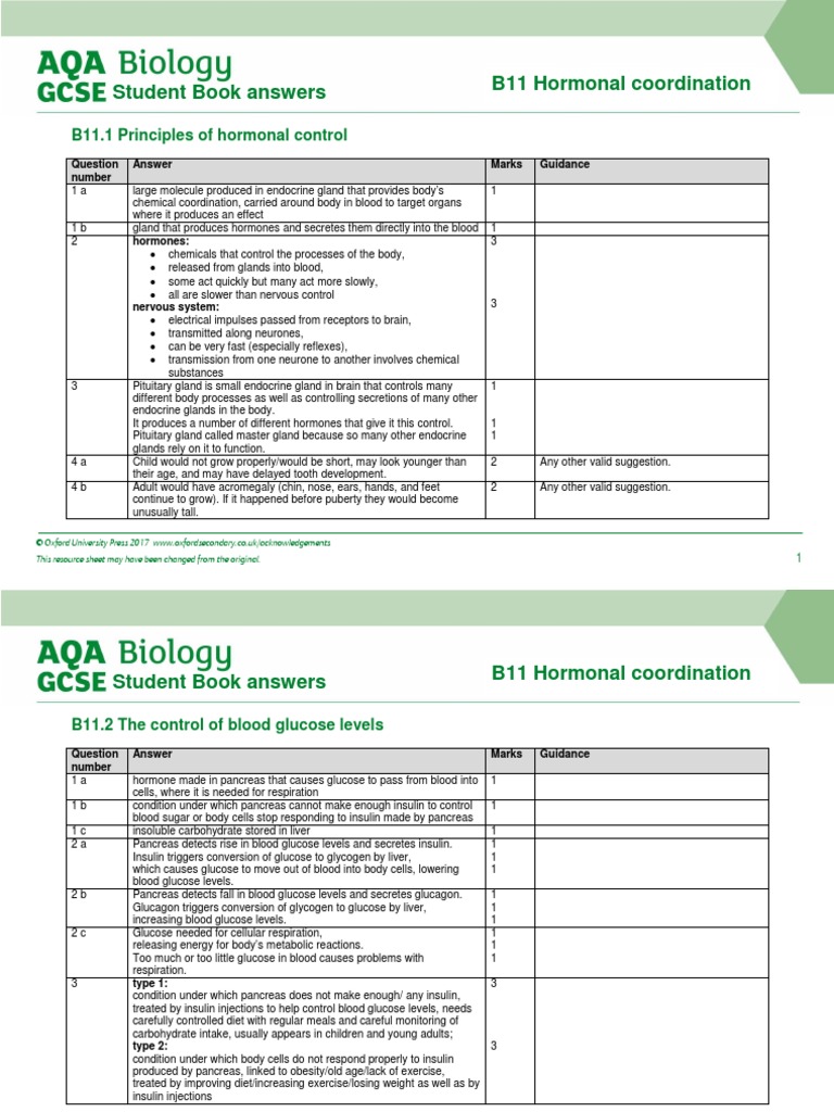 AQA GCSE Bio Combined End of Topic B11 | PDF | Menstrual Cycle | Pancreas
