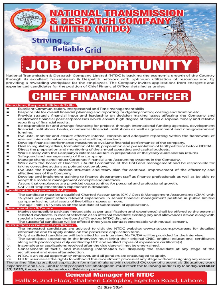 Advertisement Design CFO | PDF