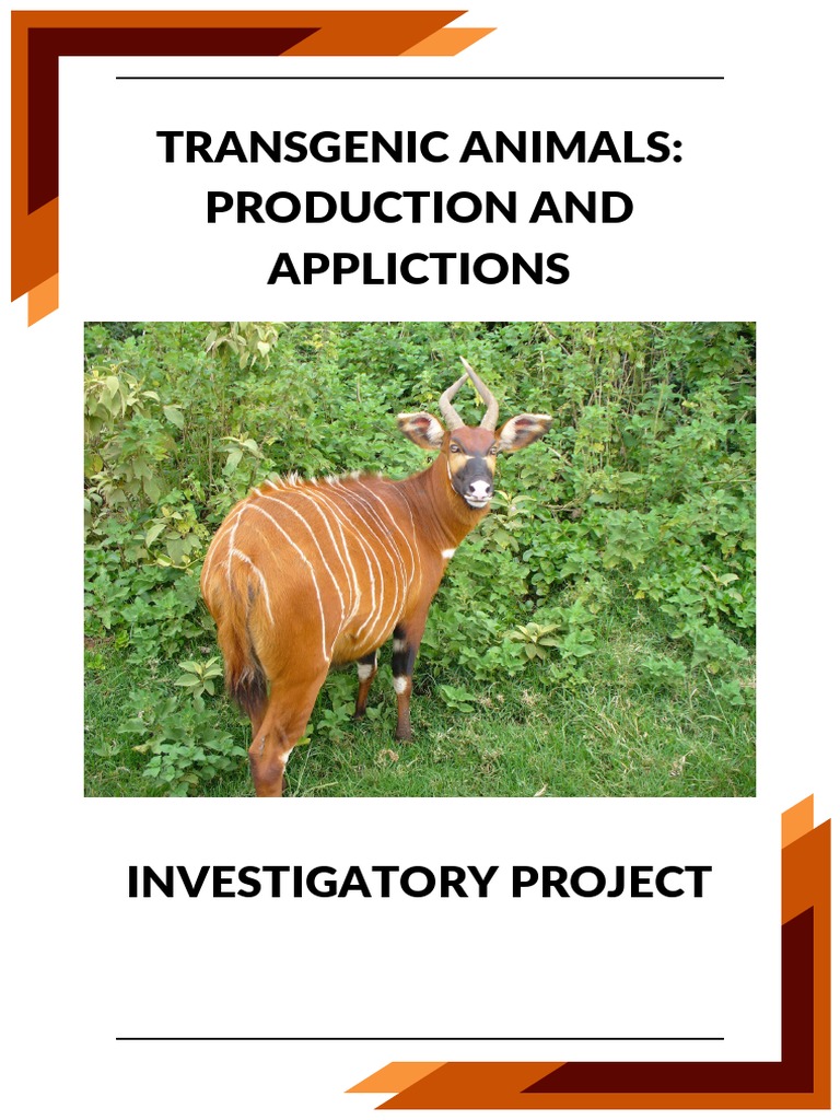 Bio Investigatory Project | PDF