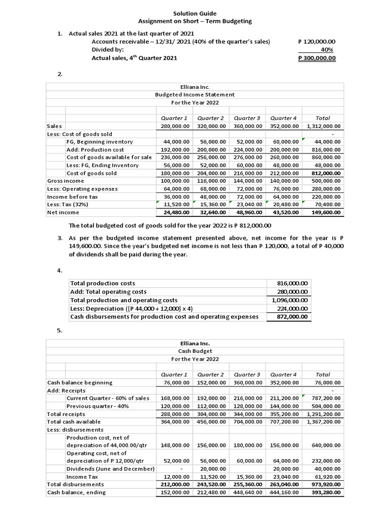 Short Term Budgeting Solution Guide | PDF