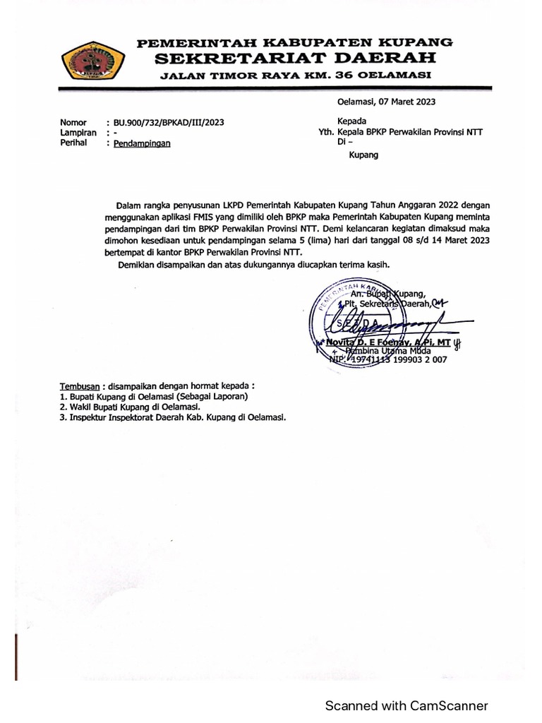 Surat Pendampingan BPKP | PDF