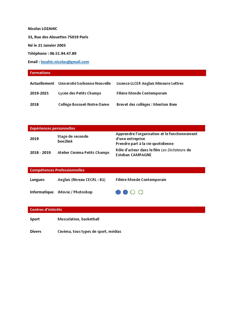 Nicolas LOZAHIC CV | PDF