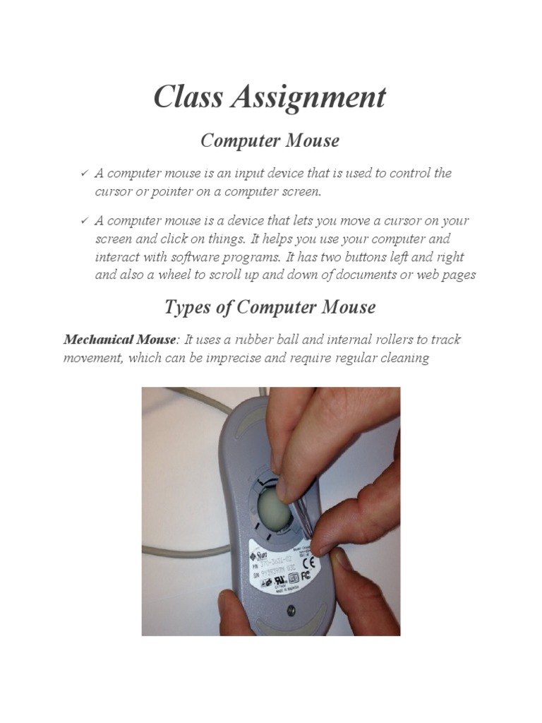 Assignment 1 | PDF | Computer Keyboard | Image Scanner