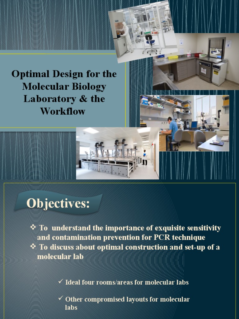 Molecular Biology Lab Design and Workflow | PDF