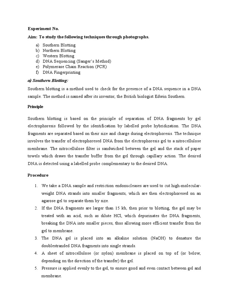 Practical Write Up PDF