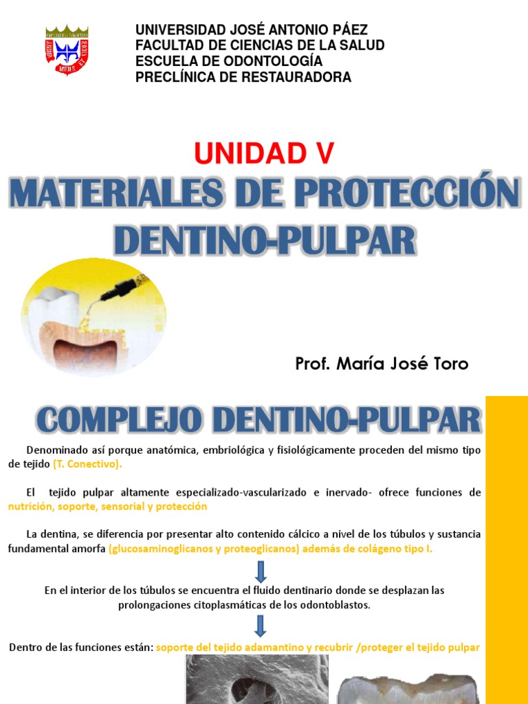 Unidad v. Od. Maria Jose Toro | PDF