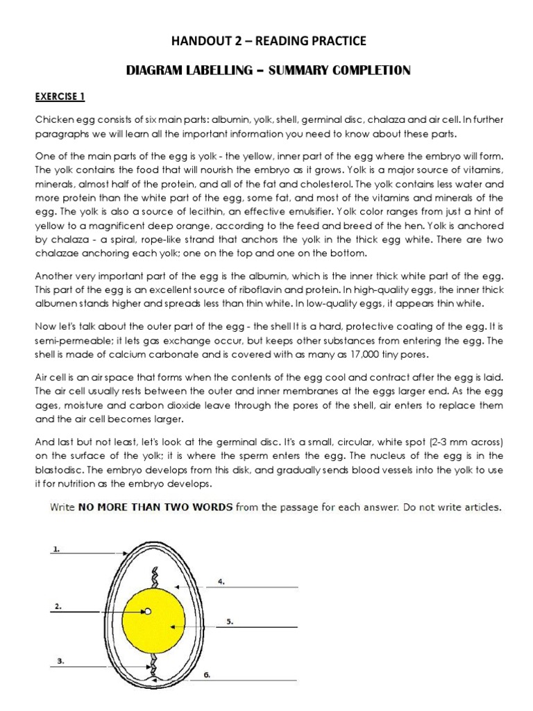 Reading - Handout 2 | PDF