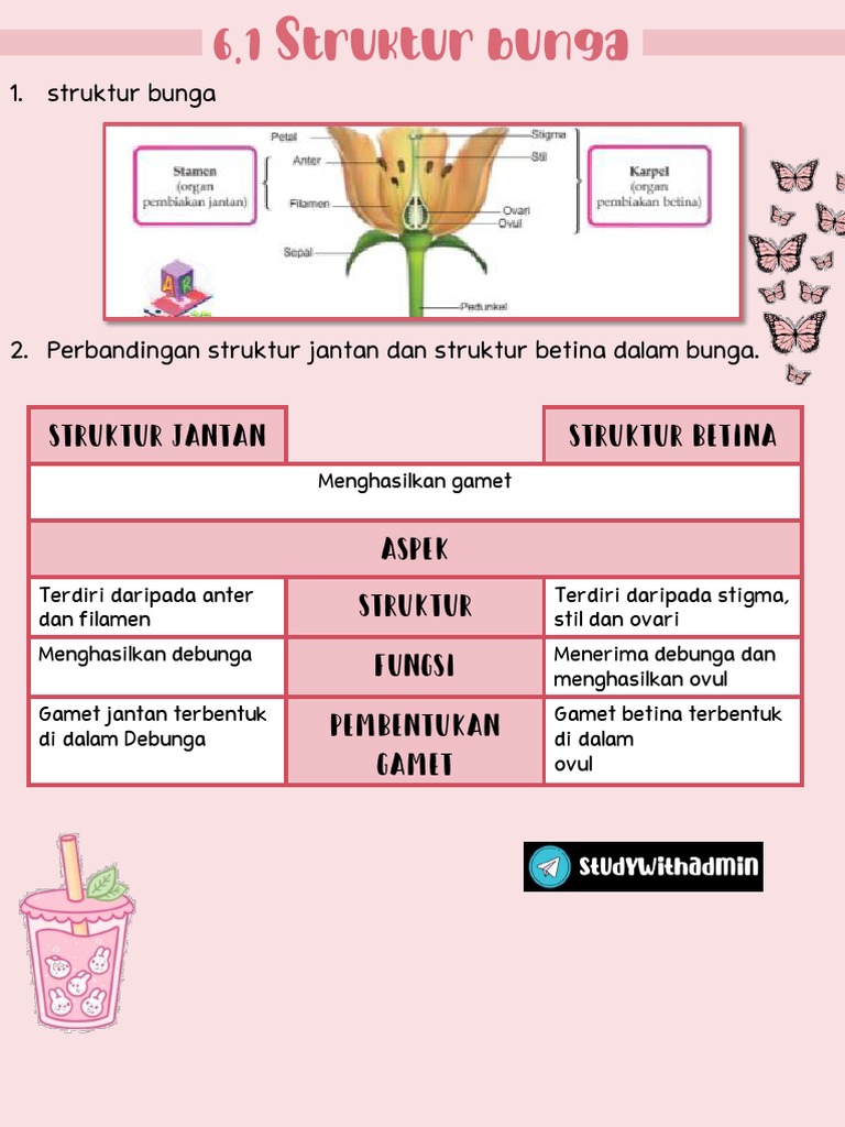 Bio b6 f5 Studywithadmin | PDF | Sains & Matematika
