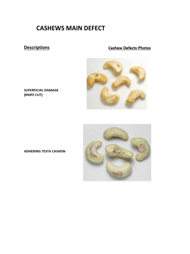 Cashew Defects and Quality Grades | PDF | Cooking, Food & Wine | Home ...