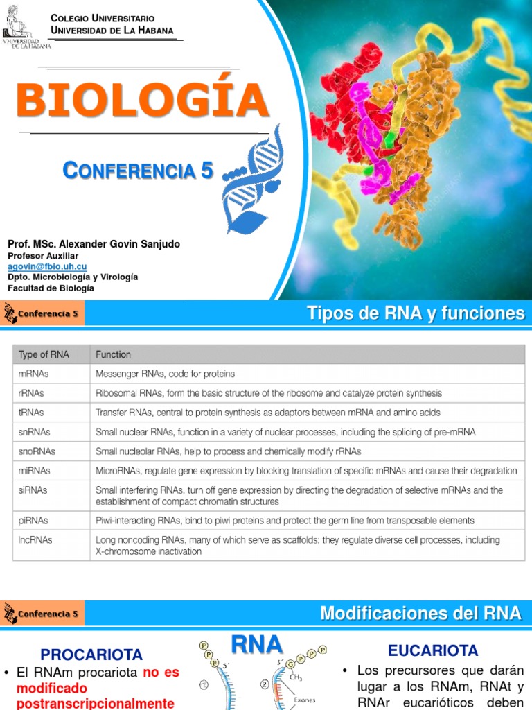 Conferencia 5. Modificaciones Postranscripcionales | PDF | Rna Splicing ...