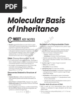 NCERT - Molecular Basis of Inheritance | PDF | Operon | Translation (Biology)
