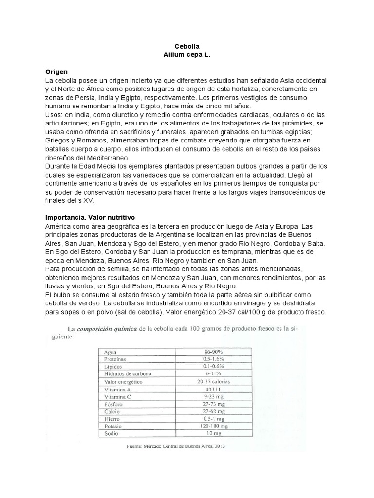 Cebolla: Origen, Usos y Cultivo | PDF