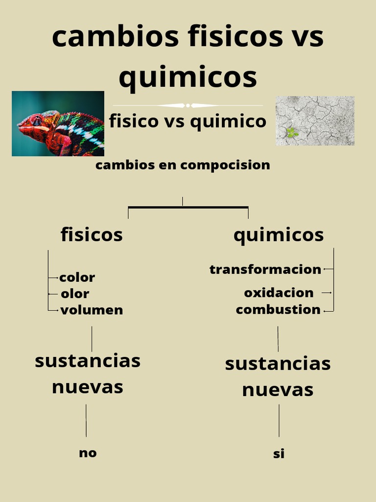 Cambios Fisicos Vs Quimicos | PDF