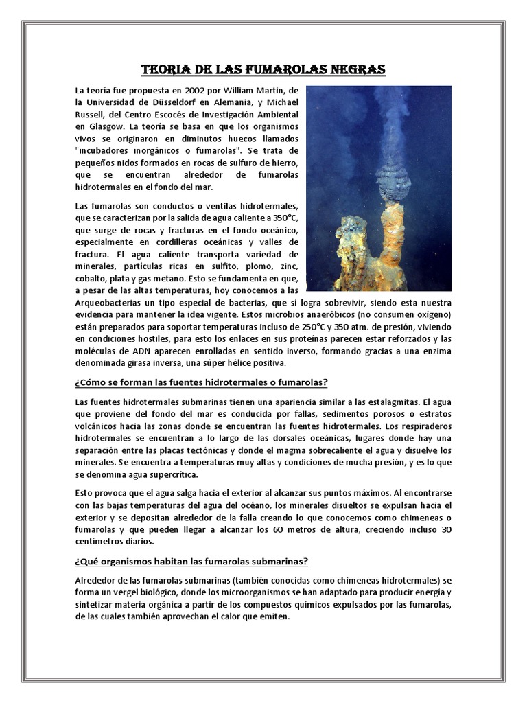 Fumarolas Negras, Resumen Grupal | PDF | Ventilación hidrotermal | Agua