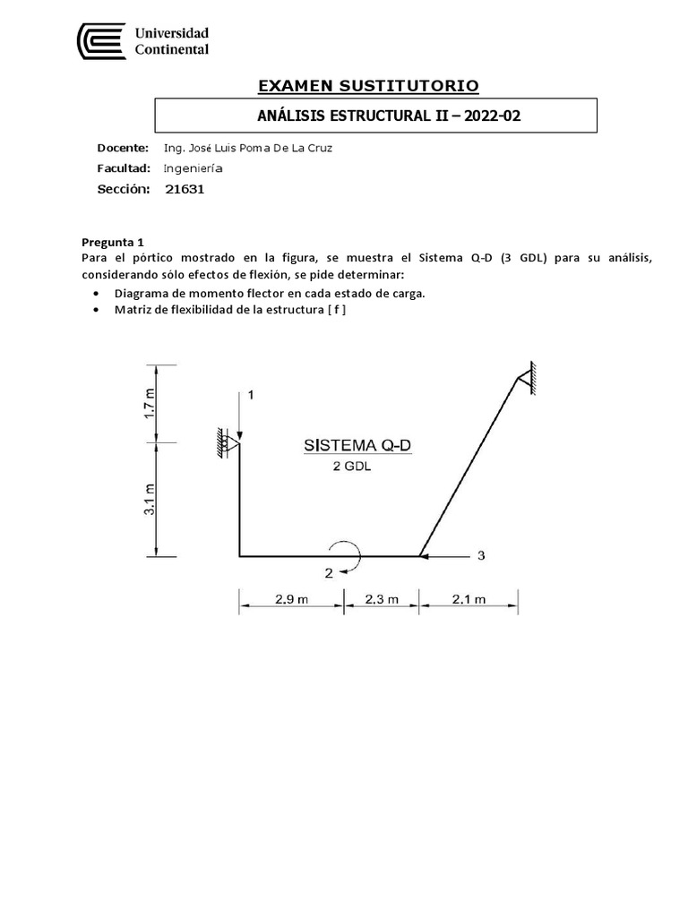 Examen Sustitutorio AE2 | PDF