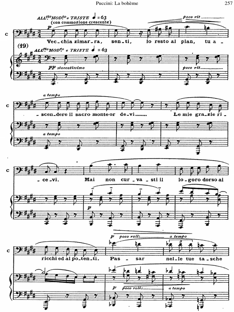 Vecchia Zimarra | PDF