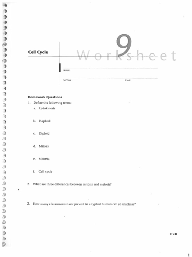 Cell Cycle Lab Question | PDF