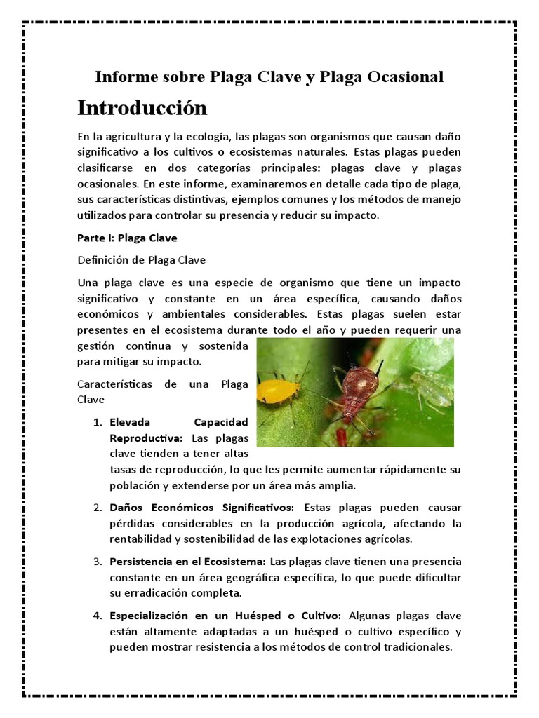 Plagas Clave y Ocasionales en Agricultura | PDF | Plaga (organismo ...