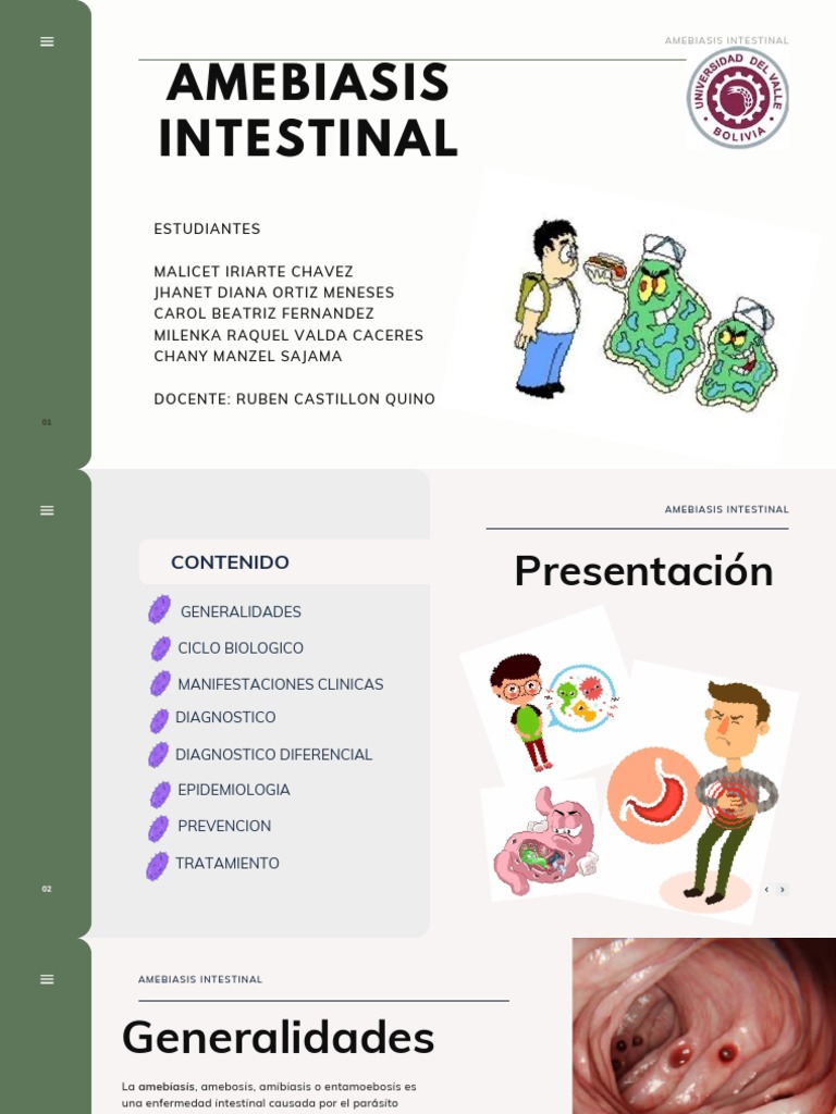 Amebiasis Intestinal | PDF