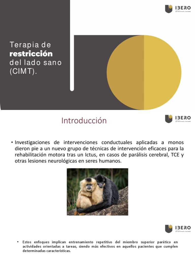CIMT | PDF