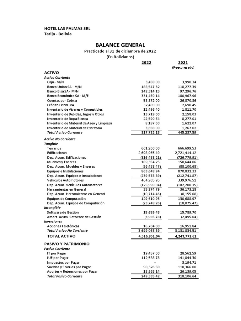 Balance General Hotel Las Palmas 2022 | PDF | Valor neto | Economias