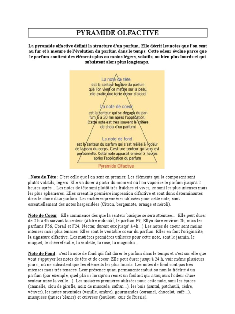 Pyramide Olfactive | PDF